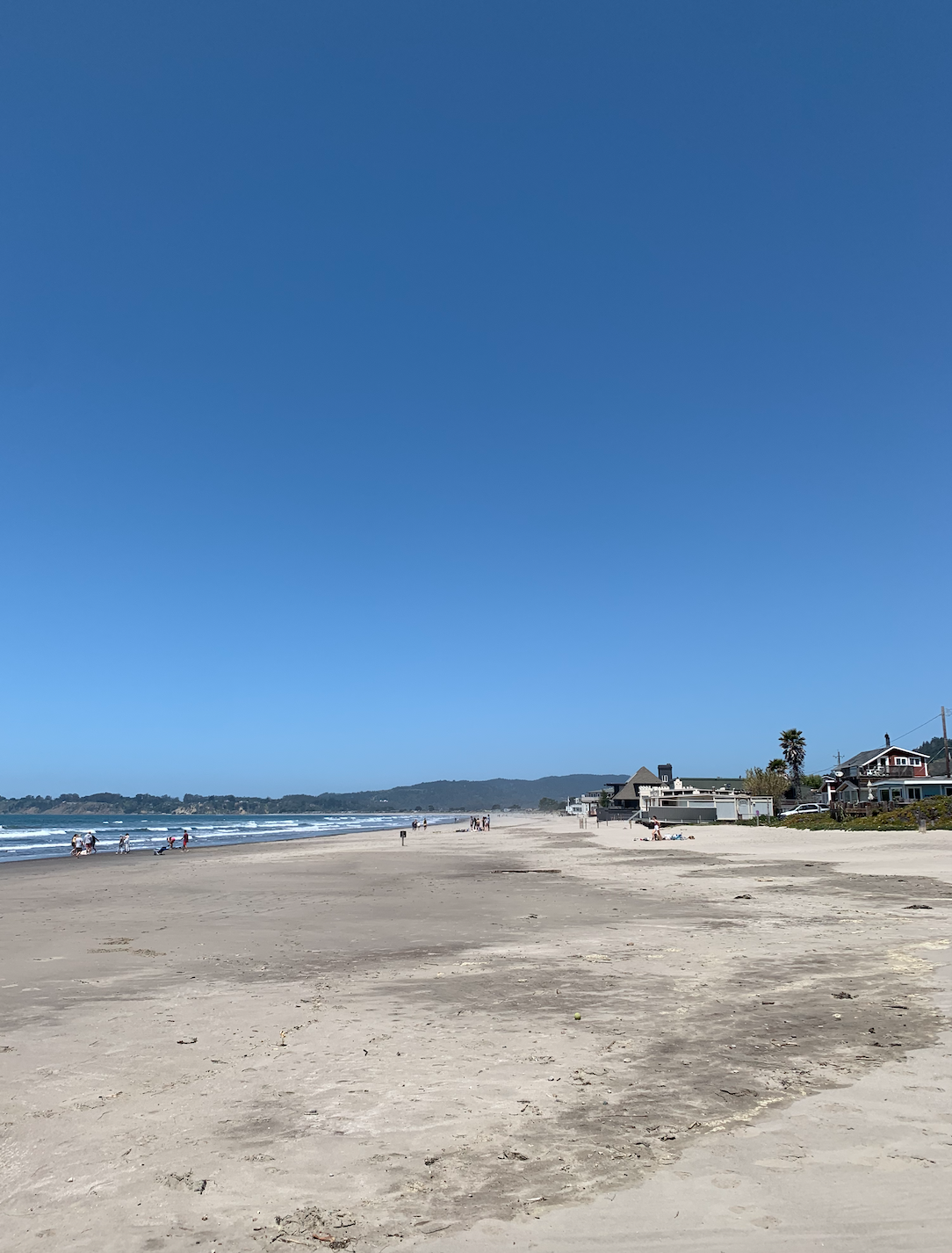 Daniel Tom Personal Website